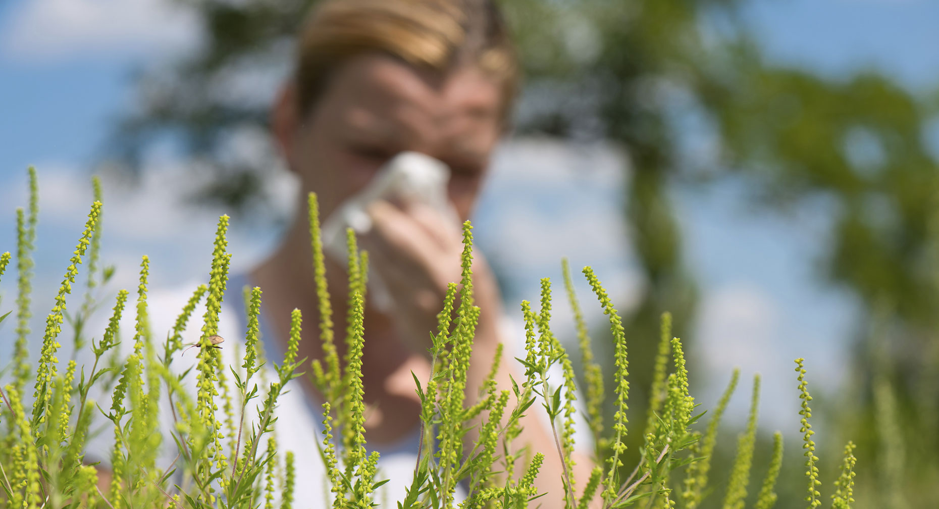 How to Know if You Have Seasonal Allergies | Premier Health